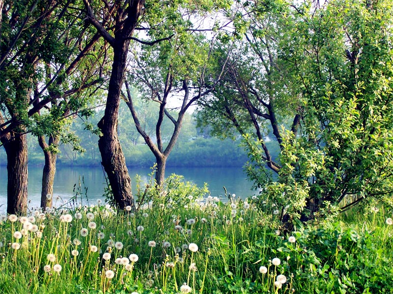 No Wind, No Sun, No Power | Big Picture News, Informed Analysis